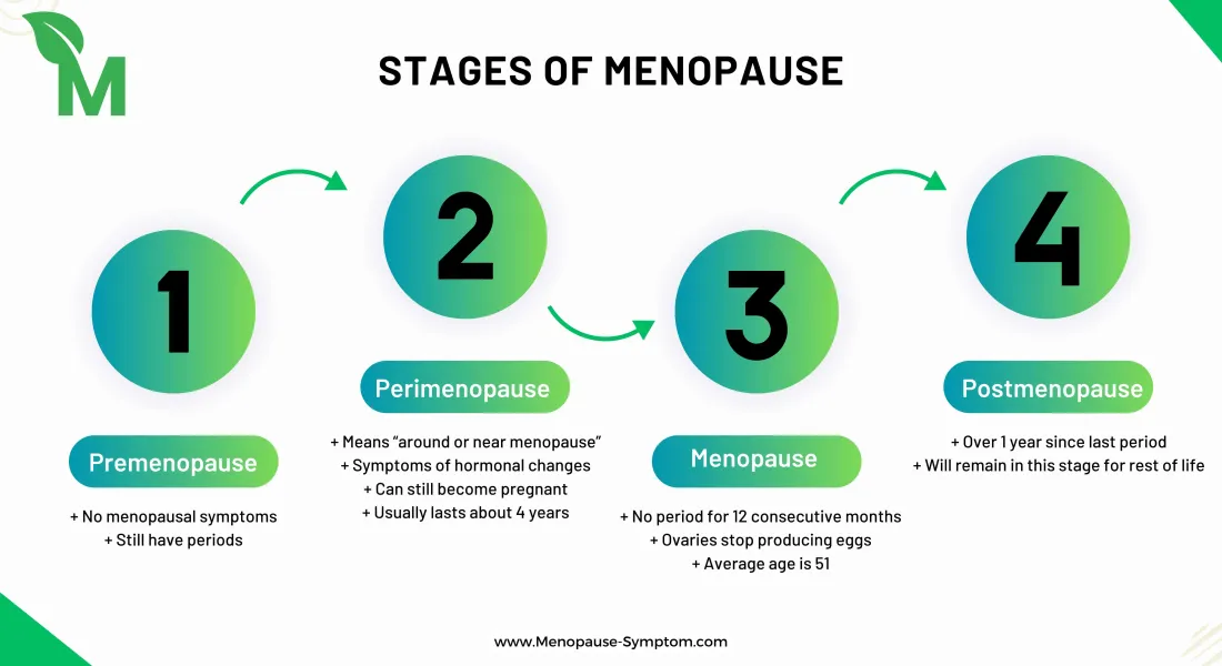 Blog | Understanding The Stages And Challenges Of Menopause